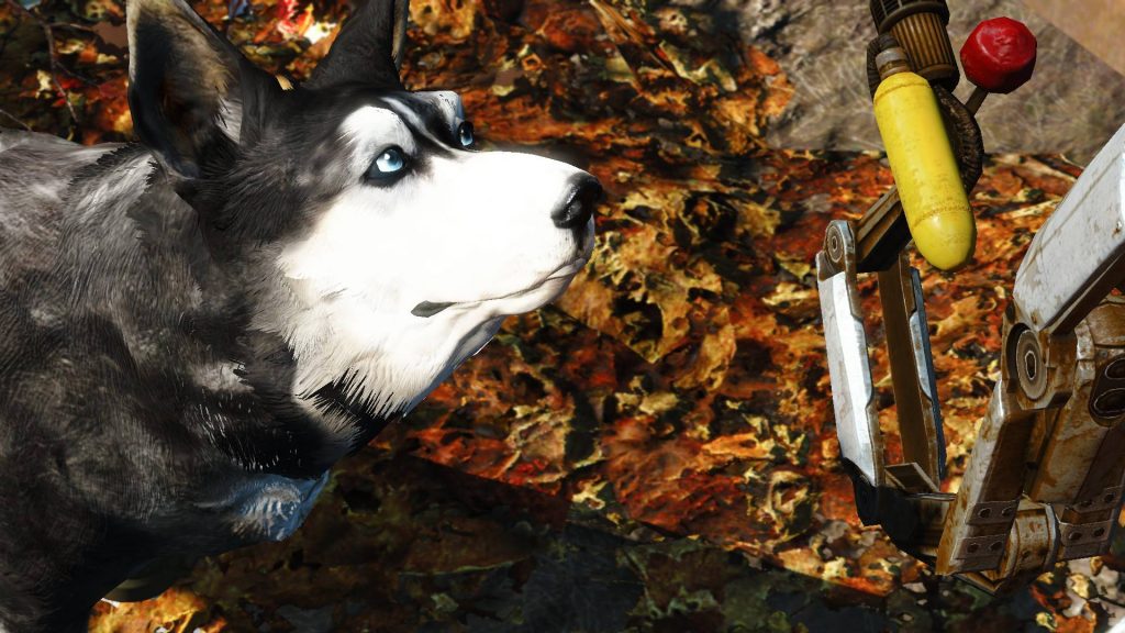 Fallout 4: PC Mod lässt euch das Spiel als Hund erleben - Shooter-sZene
